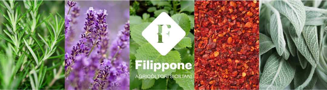 Filippone – Manzo Food Sales